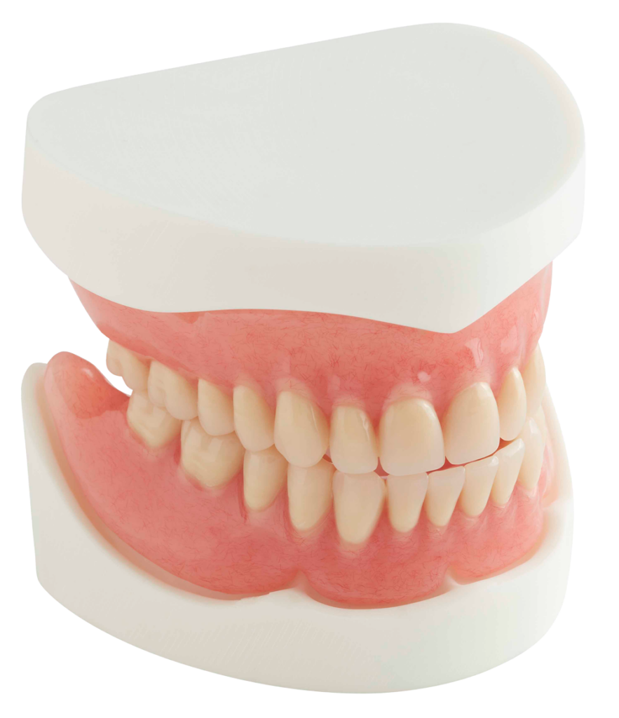 Dentures | Removable Prosthodontics | Partial dentures | Southern Cross ...